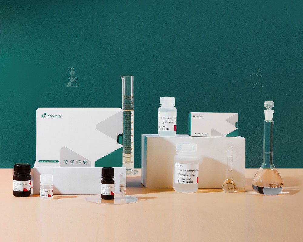 α-酮戊二酸脱氢酶（α-KGDH）活性检测试剂盒 - 宝信生物官网 丨 宝信生物科技（新疆）有限公司