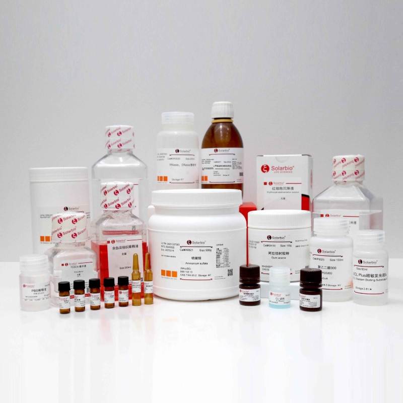 胃蛋白酶 1:3000 - CAS:9001-75-6 - 宝信生物官网 丨 宝信生物科技（新疆）有限公司